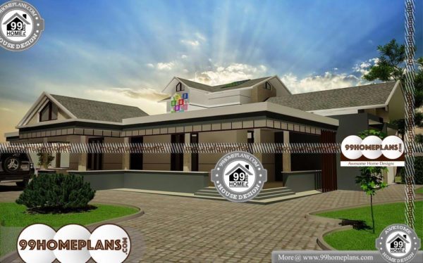 One Storey House Architectural Design with Wide and Spacious Houses