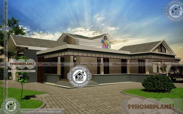 One Storey House Architectural Design with Wide and Spacious Houses